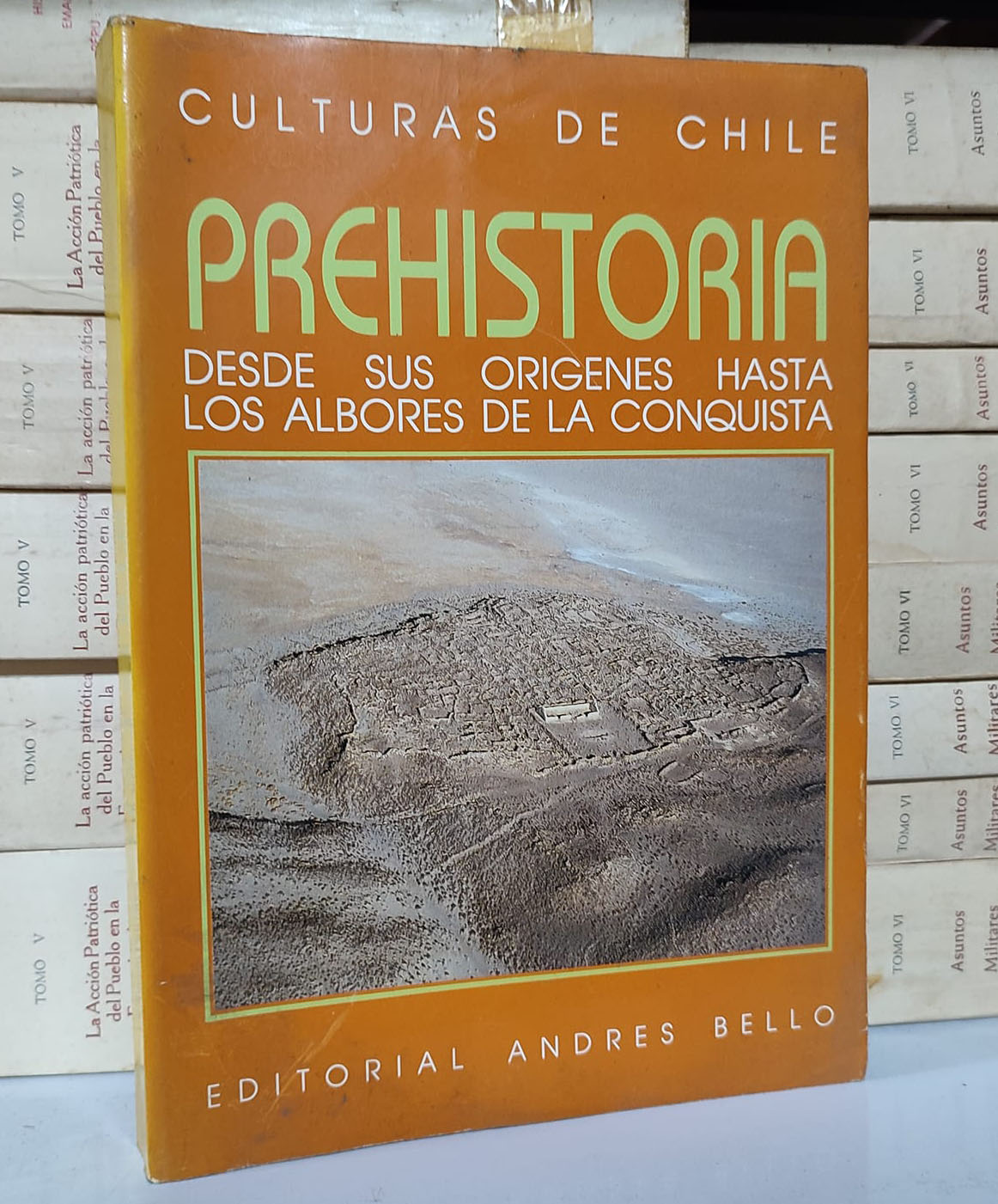 Culturas de Chile: Prehistoria desde sus origenes hasta los albores de ...
